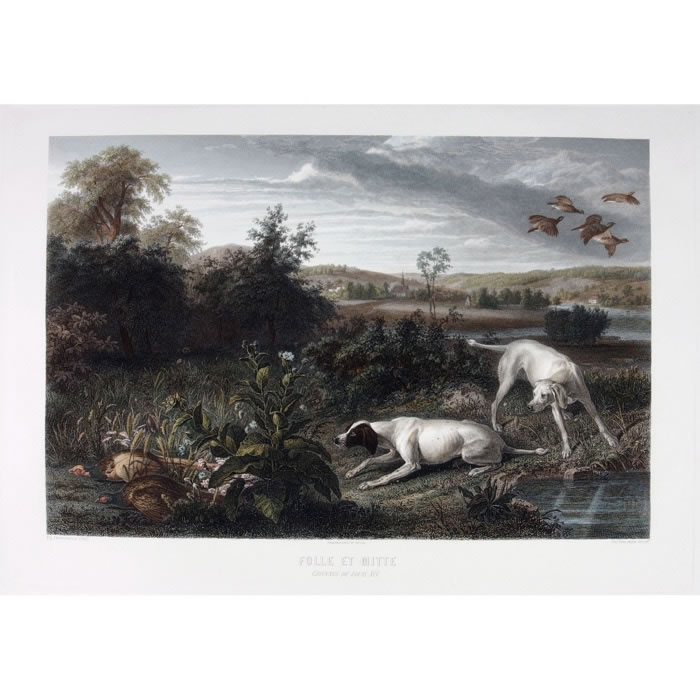 Buy old prints and engravings from François Desportes: Folle and Mitte ...